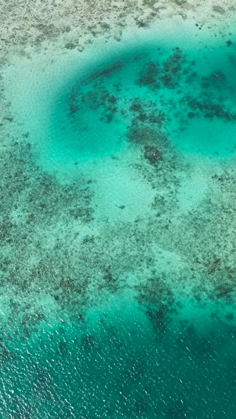 Top view of coral reefs and lagoons in t... | Stock Video | Pond5