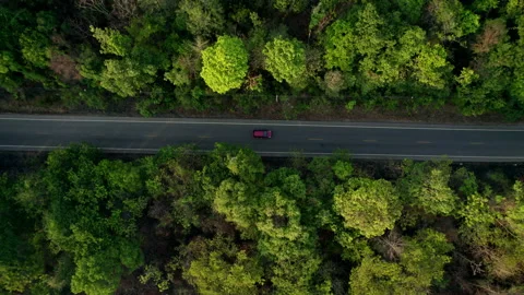 Top view countryside path trough forest ... | Stock Video | Pond5