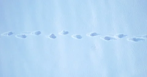 Top view of a deep human footprint in th... | Stock Video | Pond5