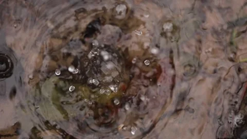 Top view of drop falls into water and di... | Stock Video | Pond5