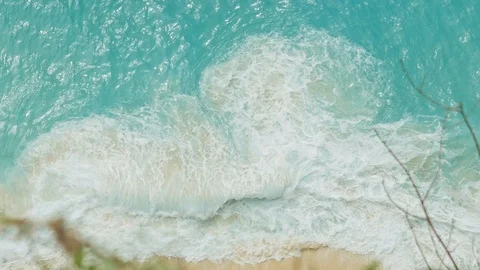 Trex Top View Stock Videos – Royalty-Free HD & 4K Videos | Pond5