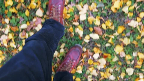 Top view of feet walking over the autumn... | Stock Video | Pond5