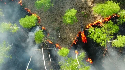 top view of a fire erupted in the forest | Stock Video | Pond5