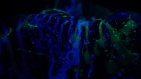 Big Breast T Stock Videos – Royalty-Free HD & 4K Videos