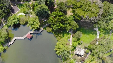Top View Of Green Parks with Many Trees ... | Stock Video | Pond5