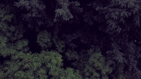 Top view heavy rain at green park zone | Stock Video | Pond5