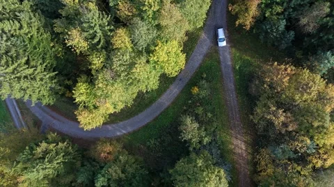 Top view of hiker walks on jogging track... | Stock Video | Pond5
