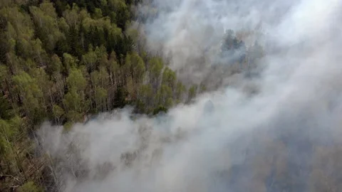 Top view of an invincible forest fire | Stock Video | Pond5