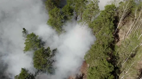 Invinciple Stock Footage ~ Royalty Free Stock Videos | Pond5