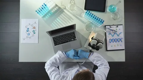 Top view of lab worker putting prepared ... | Stock Video | Pond5