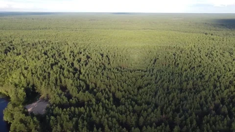 Top view of the lake in a deep fir fores... | Stock Video | Pond5