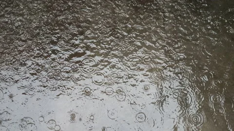 Top view of a large puddle with circles ... | Stock Video | Pond5
