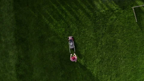 Top view of the lawn mower mows fresh, g... | Stock Video | Pond5
