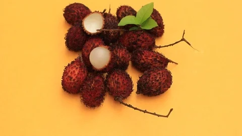 Top view of lychee isolated on white bac... | Stock Video | Pond5