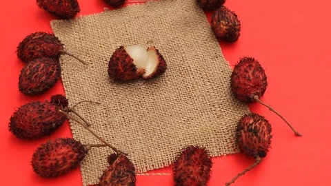 Top view of lychee isolated on white bac... | Stock Video | Pond5