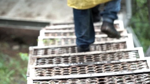 Top view of a man hiker going down the m... | Stock Video | Pond5