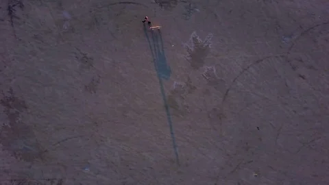 Top view man walking with labrador dog a... | Stock Video | Pond5