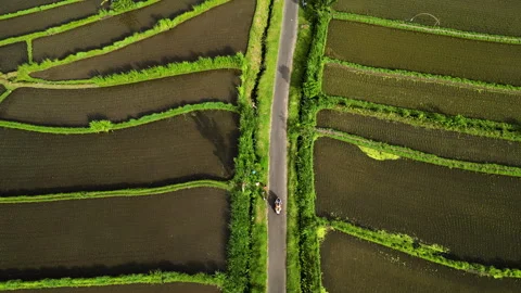 Top view of motorbike ride on road in ri... | Stock Video | Pond5