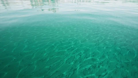 Top view Ocean bottom nature sea surface | Stock Video | Pond5