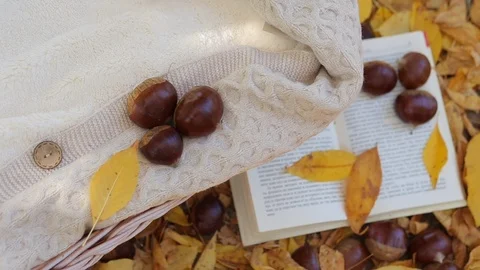 Top View of Open Book With Chestnuts Sur... | Stock Video | Pond5