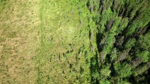 Top view over large colorful swamp at ed... | Stock Video | Pond5