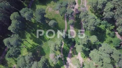 Top view of the path through the trees. Clip. Top view of the beautiful ...