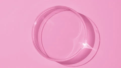 Top view of petri dish appear from the s... | Stock Video | Pond5