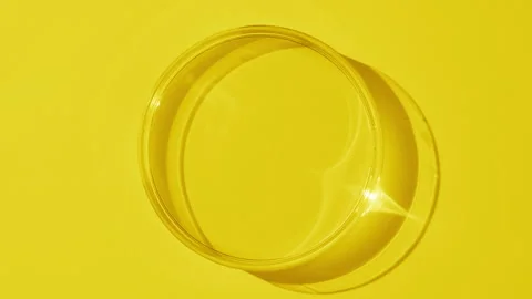 Top view of petri dish appear from shado... | Stock Video | Pond5