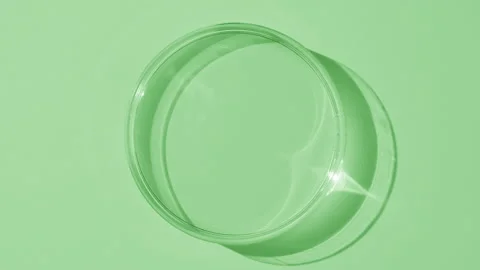 Top view of petri dish appear from shado... | Stock Video | Pond5