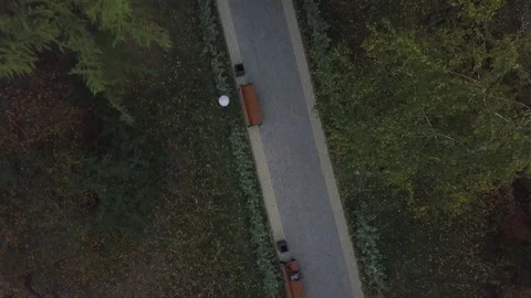 Top view of road with benches in autumn ... | Stock Video | Pond5