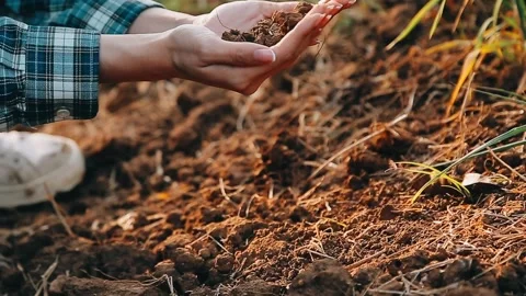 Top view of soil in hands for check the ... | Stock Video | Pond5