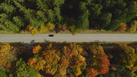 Top view at a straight road with driving... | Stock Video | Pond5