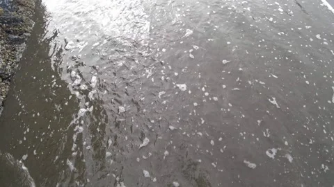 Top view of a stream of water on the Pac... | Stock Video | Pond5