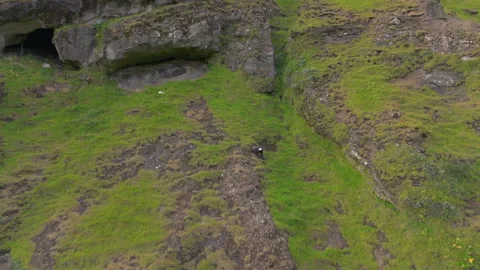 Big Top Tiny Stock Video Footage | Royalty Free Big Top Tiny Videos | Pond5