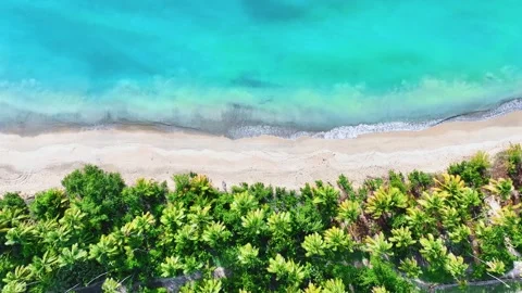 Top view of tropical white sand beach la... | Stock Video | Pond5