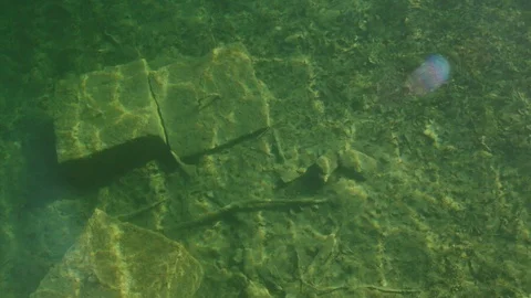 Underwater Caustics Stock Footage ~ Royalty Free Stock Videos | Pond5