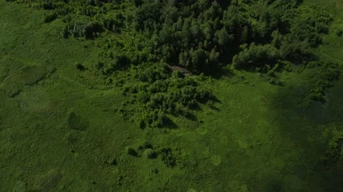 Top view of vegetations on a plain field | Stock Video | Pond5