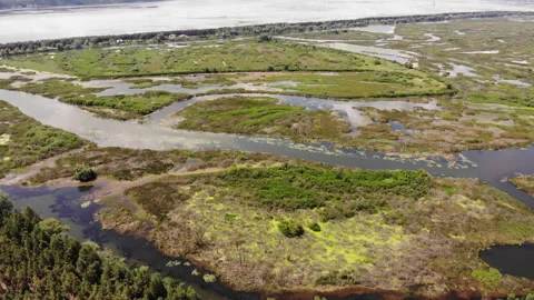 Top View of Wetland, High Aerial View of... | Stock Video | Pond5
