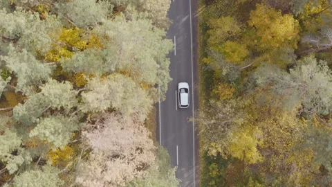 Top view of white car riding along road ... | Stock Video | Pond5