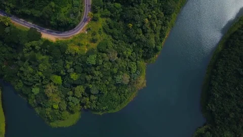 Top view winding road through the forest... | Stock Video | Pond5