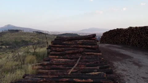 Topdown shot of deforestation logs due t... | Stock Video | Pond5