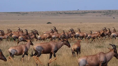 Group Per Stock Videos – Royalty-Free HD & 4K Videos | Pond5