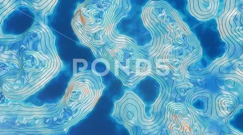 Topographic 3D map with water. Contour lines on a topographic map ...