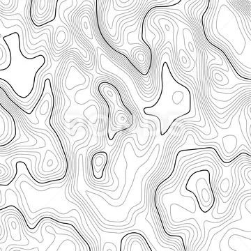 Topographic map background. Grid map. Contour. Vector illustration ...