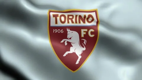 Torino Flag video waving in wind Torino... | Stock Video | Pond5