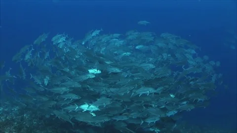 Water Tornado Stock Videos – Royalty-Free HD & 4K Videos