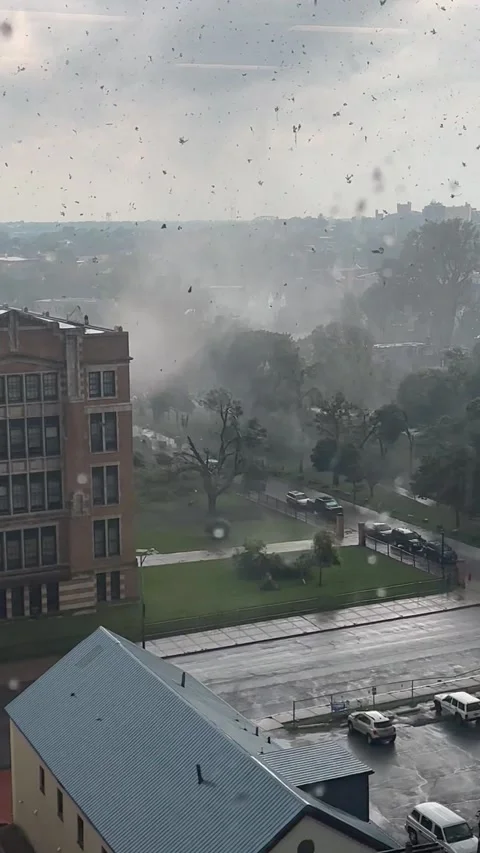 Touch The Buffalo Stock Videos – Royalty-Free HD & 4K Videos | Pond5