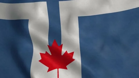 Toronto city flag waving in wind. Realis... | Stock Video | Pond5