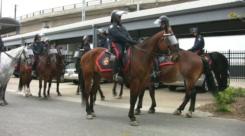 Toronto Mounted Police. | Stock Video | Pond5