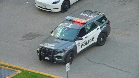 C\Service Stock Videos – Royalty-Free HD & 4K Videos